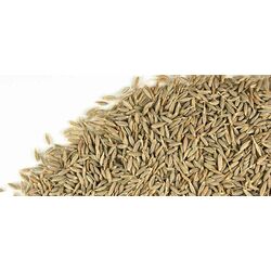 GROCERY & COOKING :: SPICES (মশলাপাতি) :: Jeera Spice - 250 gm