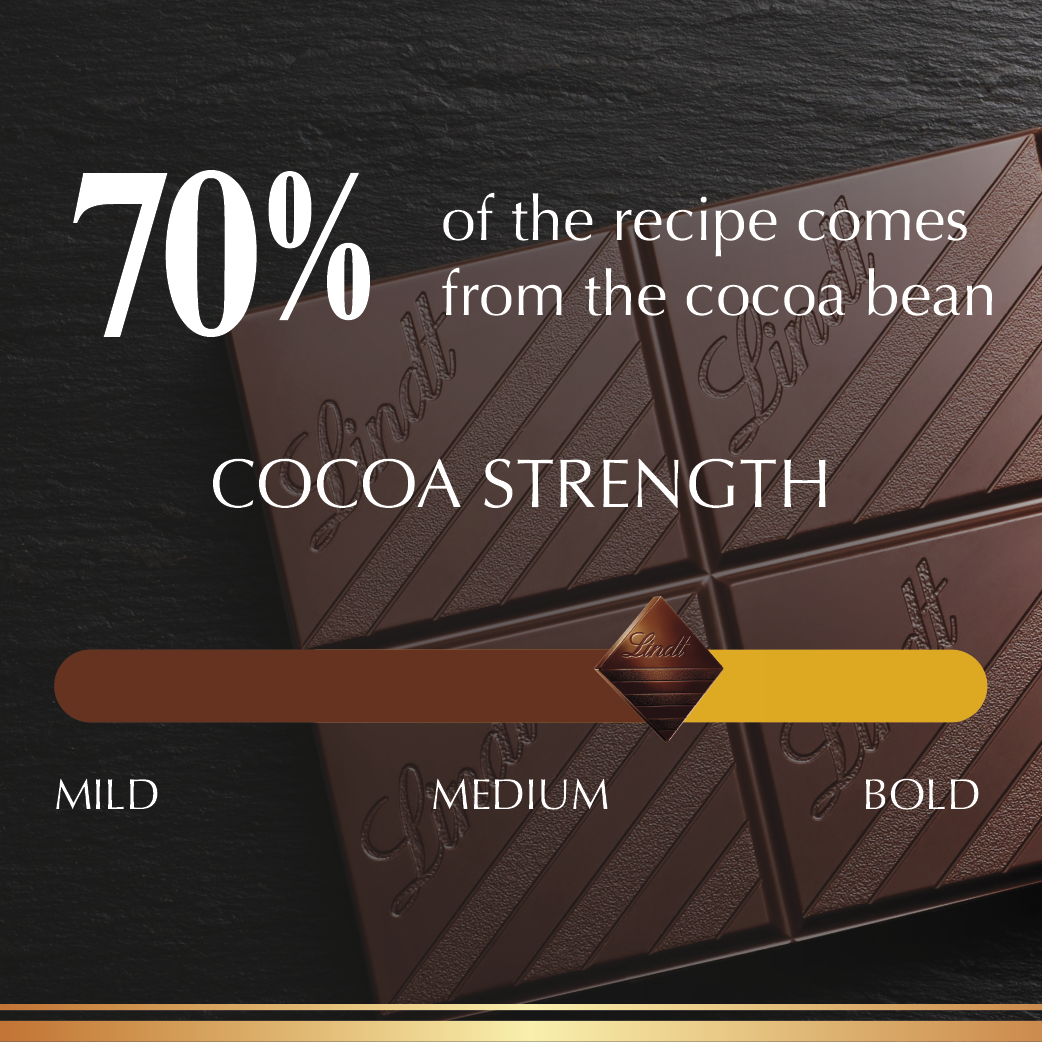 Chocolate & Candy Corner :: Chocolate Bars :: Lindt EXCELLENCE 70% ...