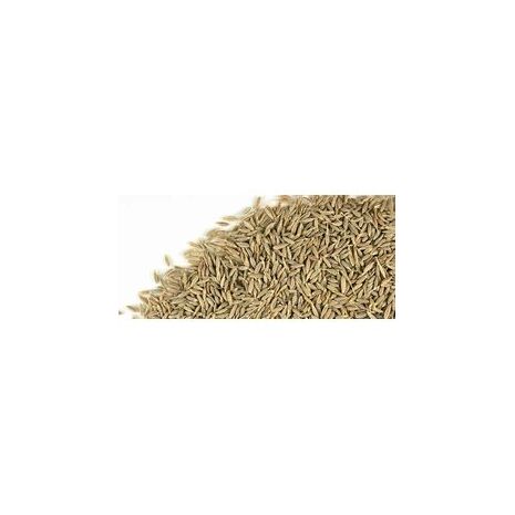GROCERY & COOKING :: SPICES (মশলাপাতি) :: Jeera Spice - 250 gm